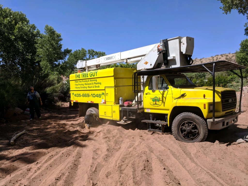 Tree Service St George Utah - The Tree Guy LLC Home Page