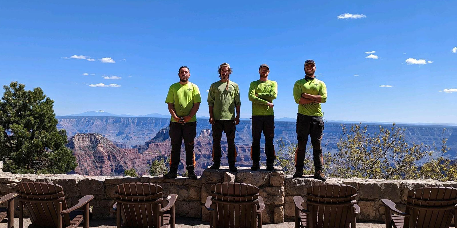Tree Service St George Utah - The Tree Guy LLC Home Page
